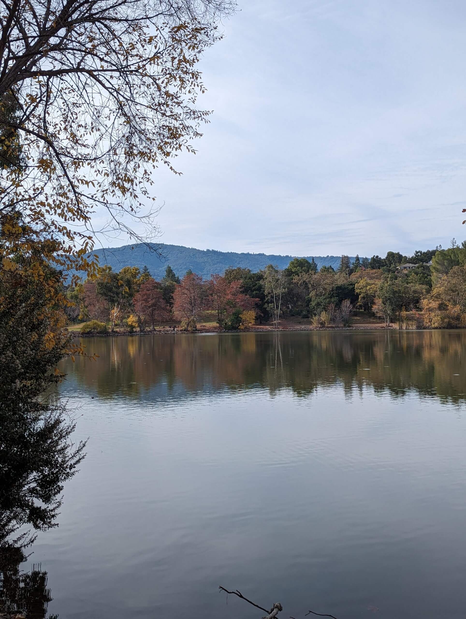 15 Exceptional Places to Host a Picnic in the Bay Area | Off the Grid